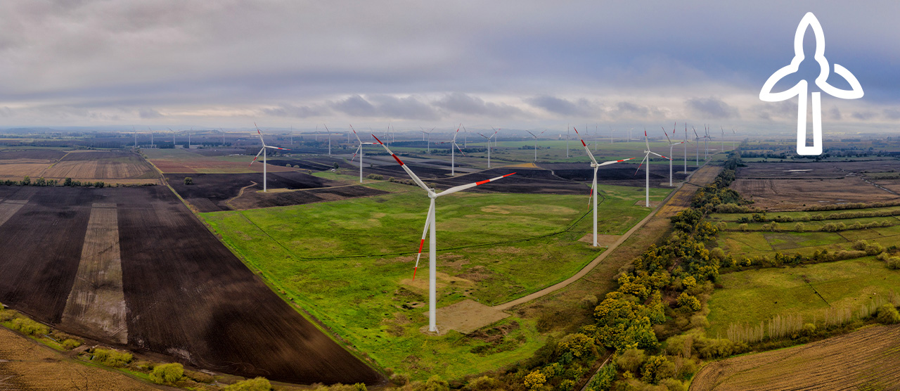 Renaico II - enel.cl