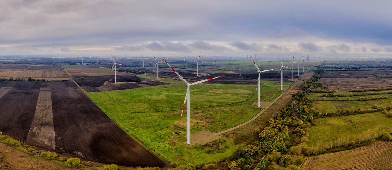 Parque Eólico Renaico II