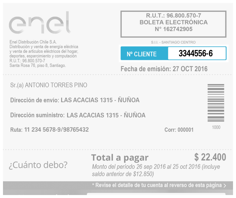 Entendiendo Mi Boleta - enel.cl