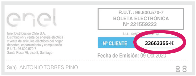Consultar y Pagar cuenta - Enel Distribución