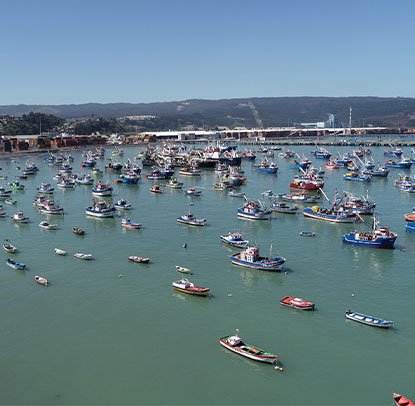 Bocamina: The route of an unprecedented process