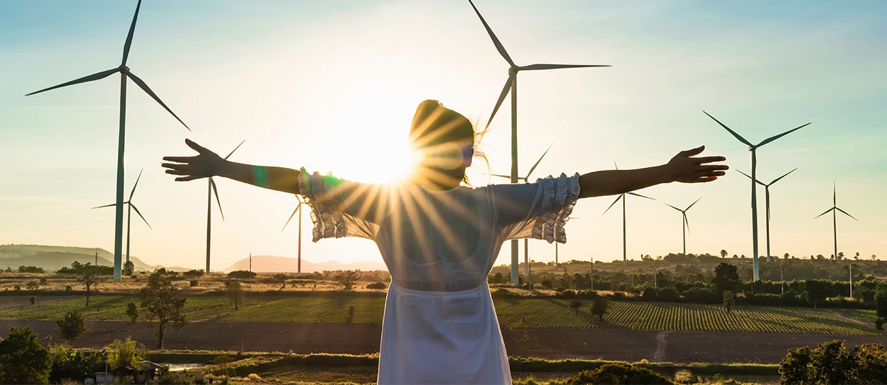  Qu Es El Dow Jones Sustainability Index 